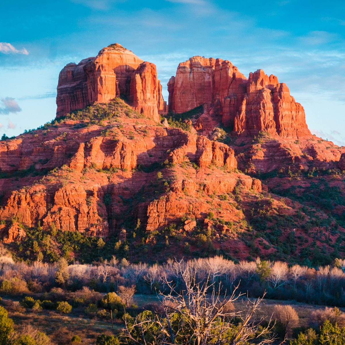 Vector Structural Engineering | Licensed in all 50 States